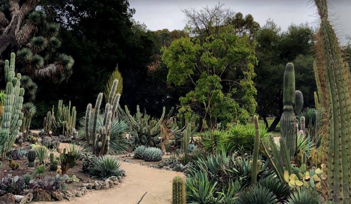 Exciting Attractions and Things to Do in San Carlos CA | San Carlos Life